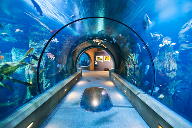 Oregon Coast Aquarium — Newport