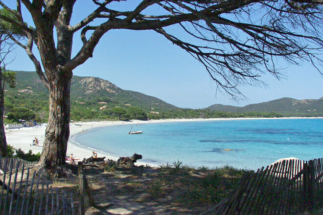 Palombaggia Beach — Corsica