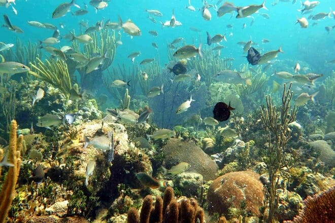 Playa Coral — Varadero