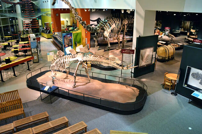 Science Museum Of Minnesota — Saint Paul