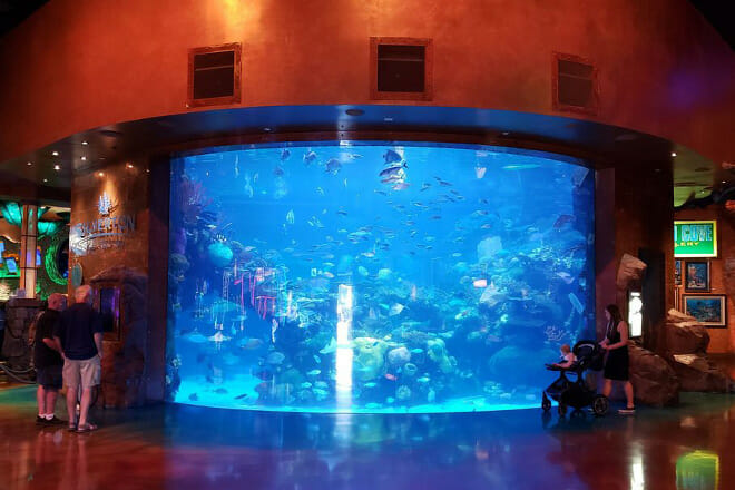 The Aquarium at The Silverton Hotel