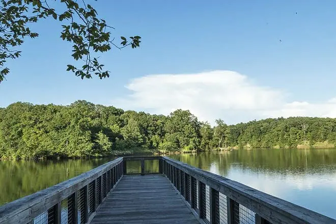 Village Creek State Park