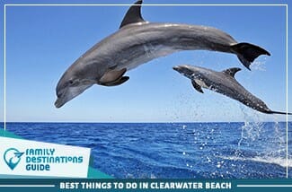 Best Things To Do In Clearwater Beach