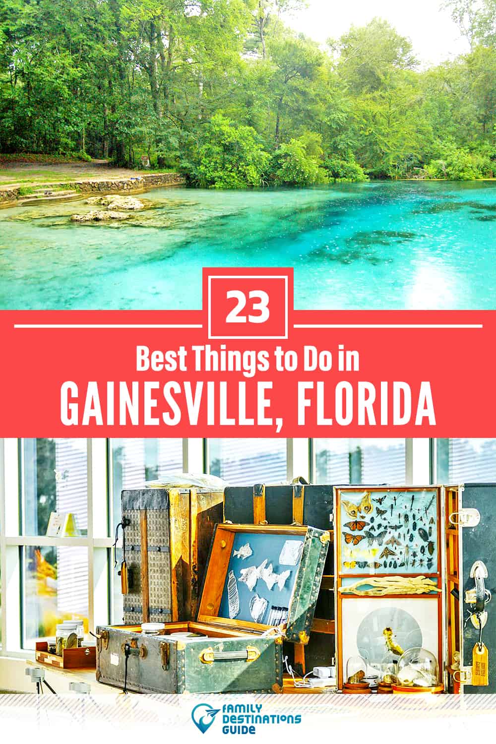 23 Best Things to Do in Gainesville, FL — Top Activities & Places to Go!