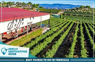 best things to do in temecula