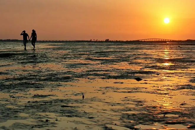 Bunche Beach