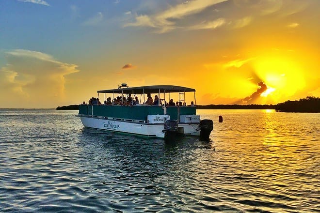 Captiva Cruises' Dolphin Watch & Wildlife Adventure Cruise