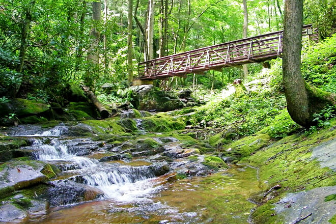 Cherokee National Forest — Cleveland