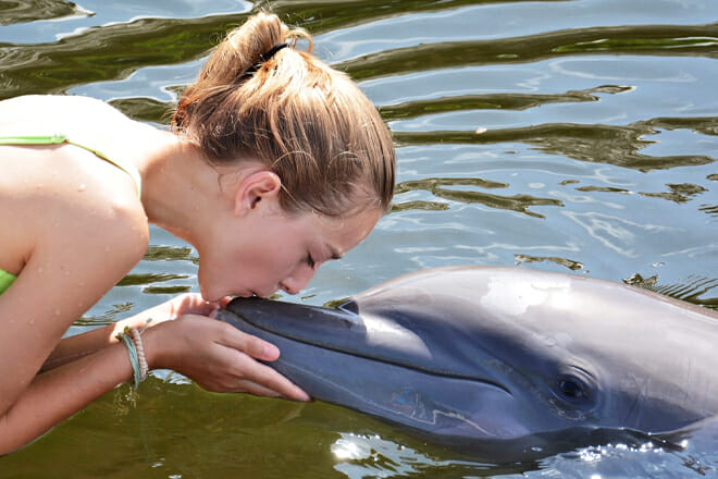 Dolphin Research Center — Grassy Key