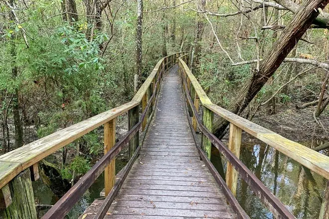 Edward Ball Nature Trail