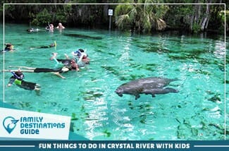 Fun Things To Do In Crystal River With Kids