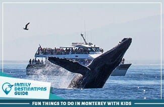 fun things to do in monterey with kids