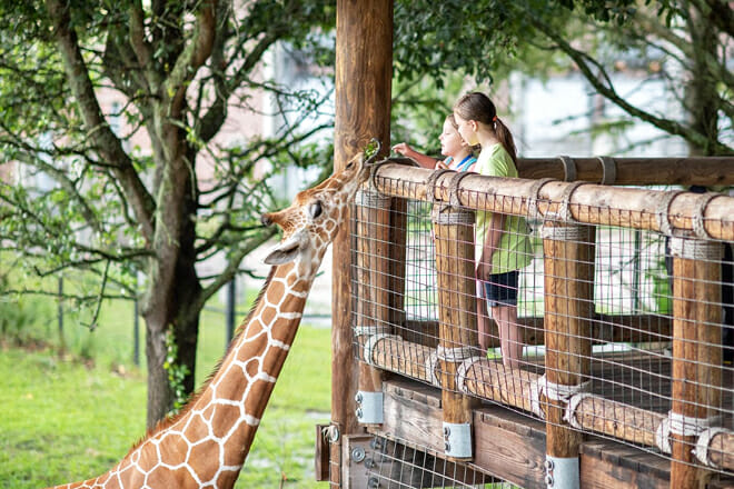 Jacksonville Zoo & Gardens — Jacksonville