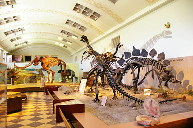Natural History Museum of Utah — Salt Lake City
