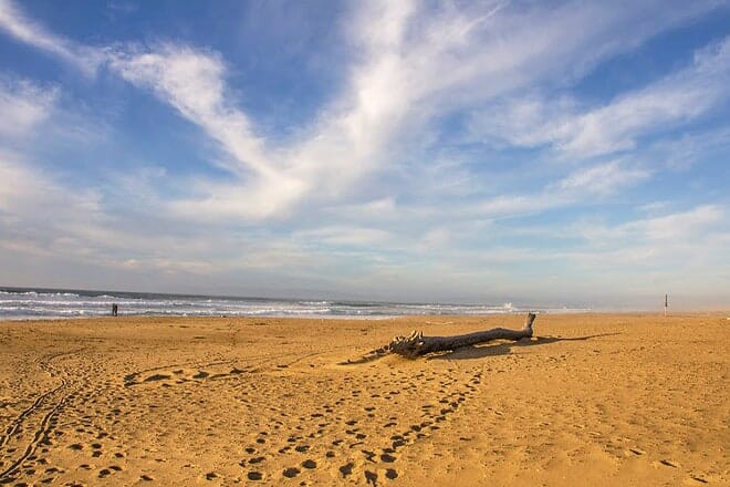 oceano dunes state vehicular recreation area