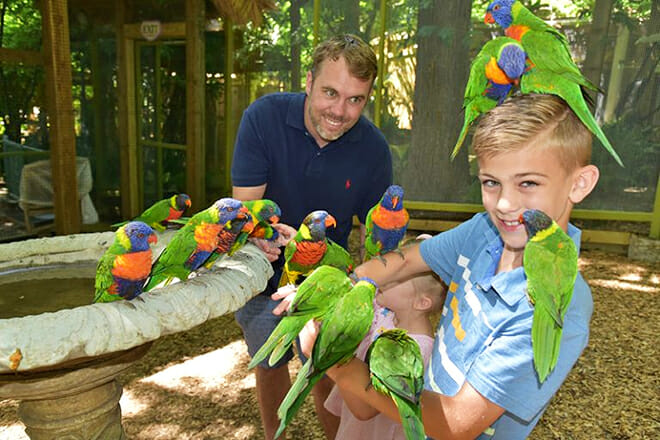 Parrot Mountain and Gardens — Pigeon Forge
