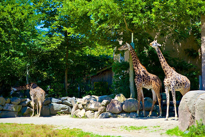 Roger Williams Park Zoo — Providence