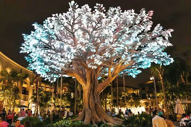 Rosemary Square