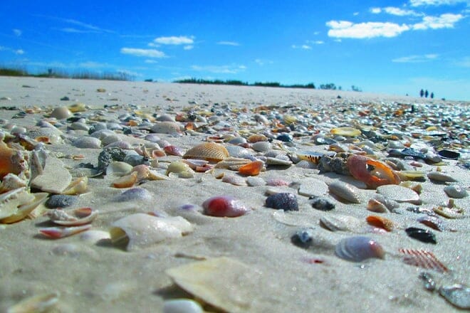 Shell Key Preserve Beach — Tierra Verde