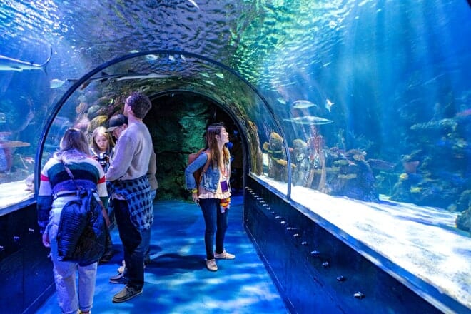 Shreveport Aquarium — Shreveport