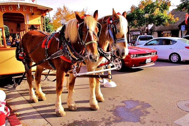 solvang trolley & carriage