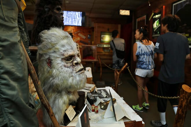 The Sasquatch Museum — Cherry Log