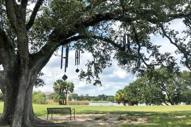 The Singing Oak — New Orleans