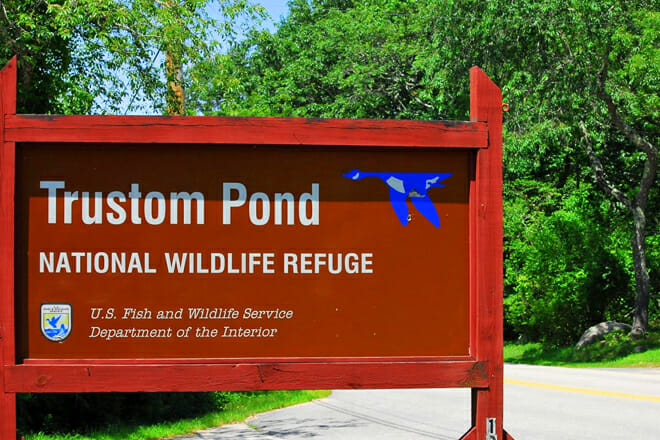 Trustom Pond National Wildlife Refuge — South Kingstown