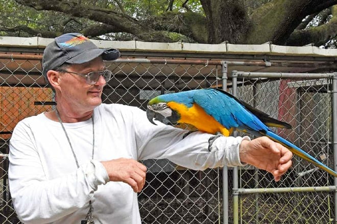 Uncle Sandy's Macaw Bird Park