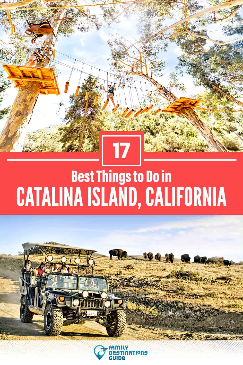 17 Best Things to Do in Catalina Island, CA — Top Activities & Places to Go!