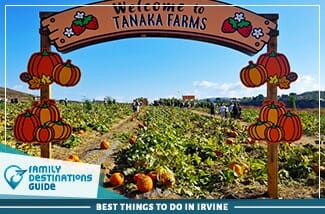 best things to do in irvine