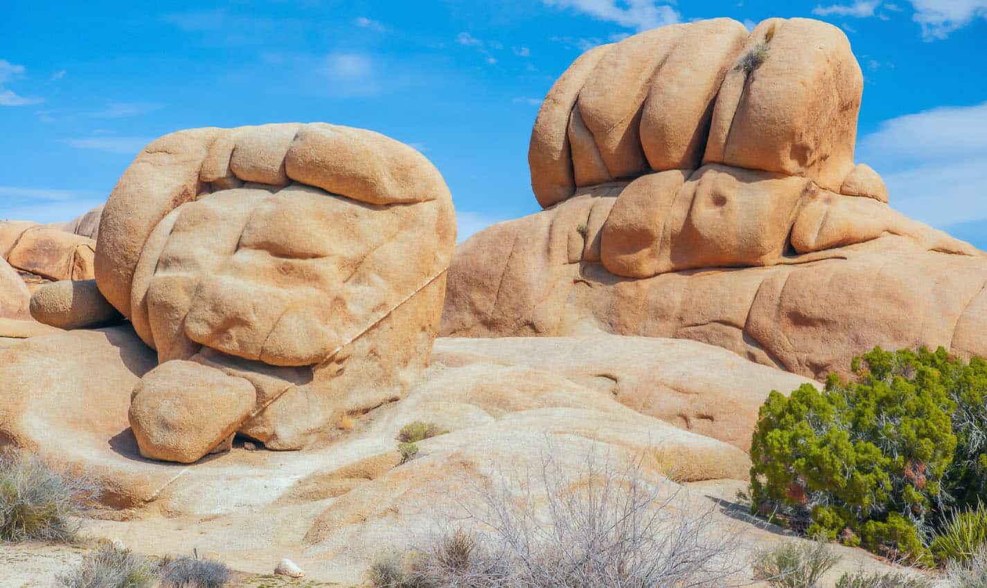best things to do in joshua tree, ca