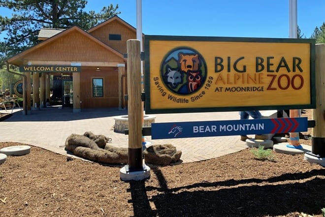 big bear alpine zoo