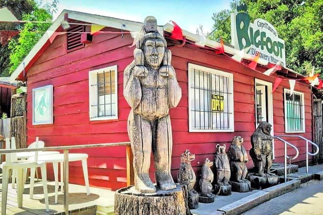 bigfoot discovery museum