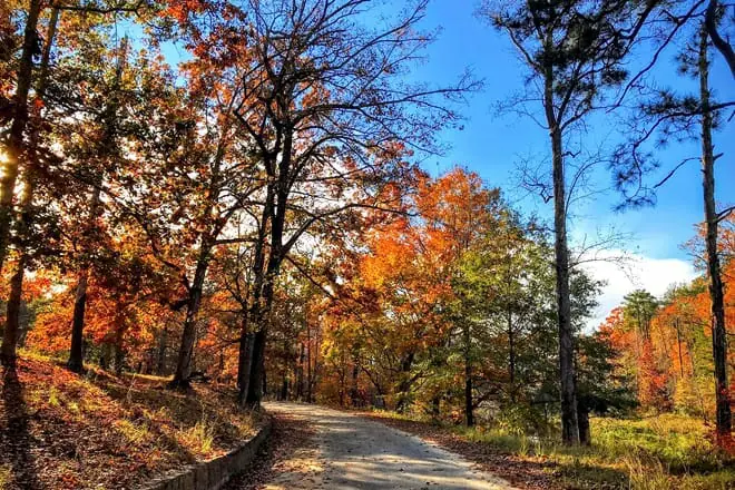 flat rock park
