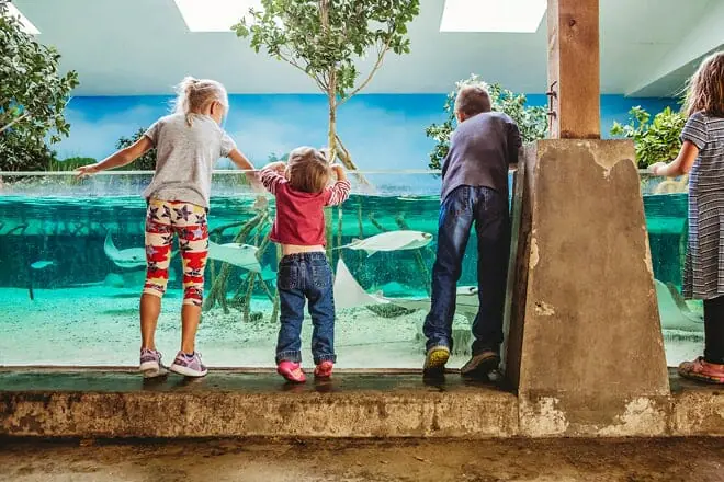 fort wayne children’s zoo