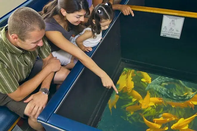 glass bottom boat voyage