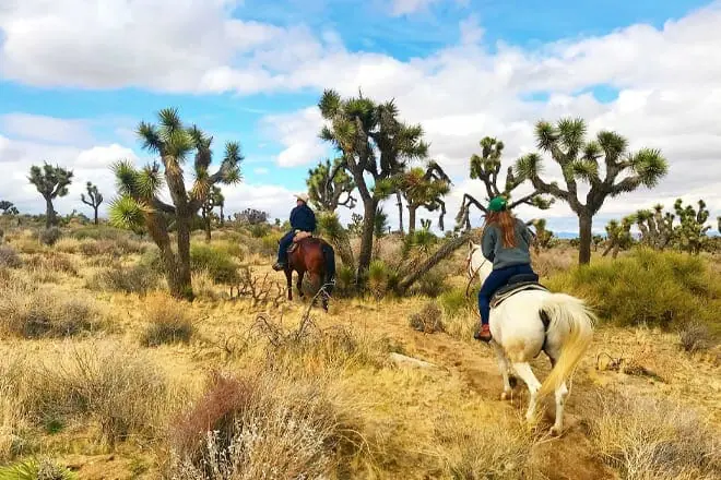 knob hill ranch