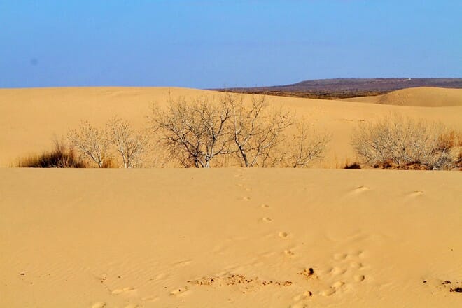 mescalero sands north dune ohv area