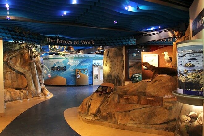 morro bay museum of natural history