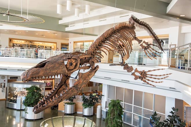 museum of paleontology — byu