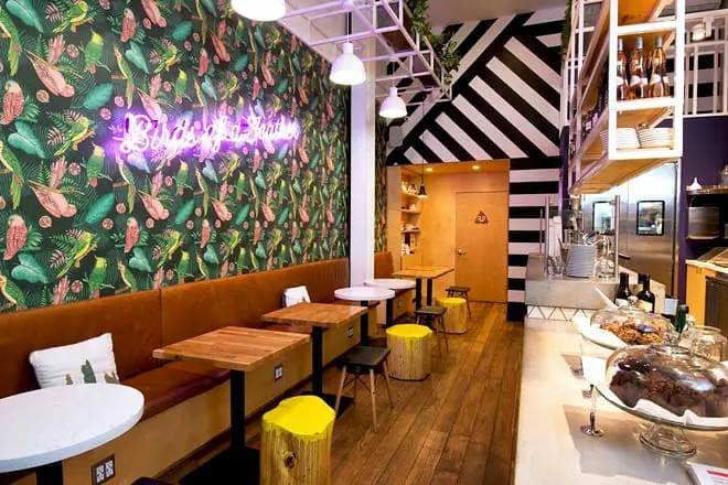 parakeet cafe