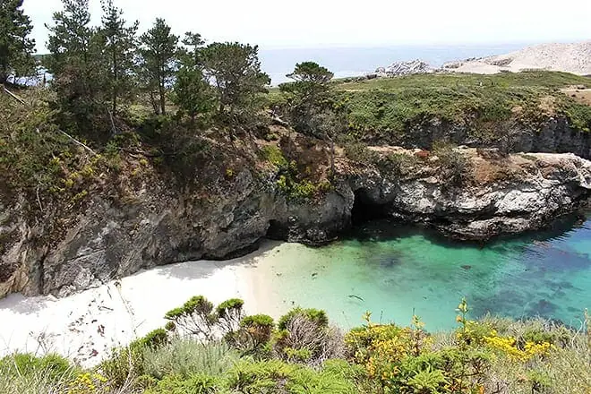 point lobos state natural reserve
