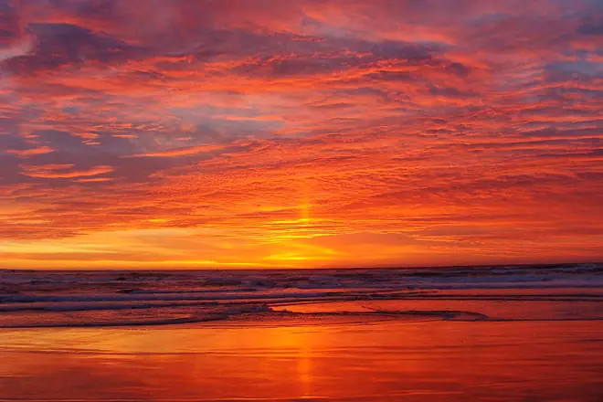 salinas river state beach