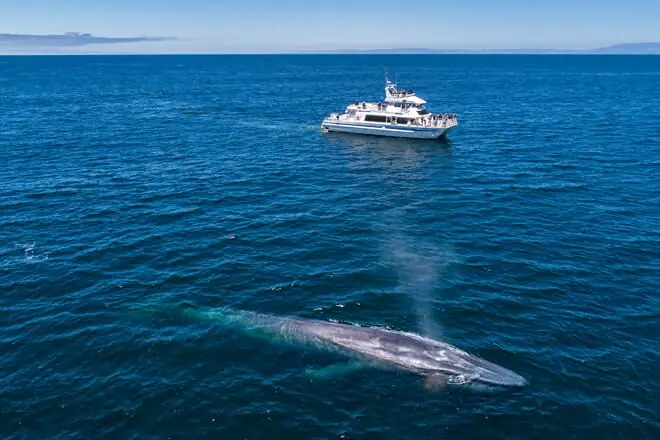 santa barbara channel