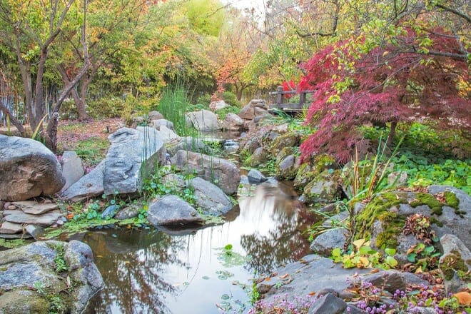 shinzen japanese garden