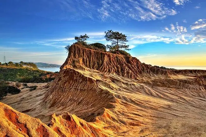 torrey pines state park
