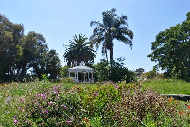 university of california irvine arboretum