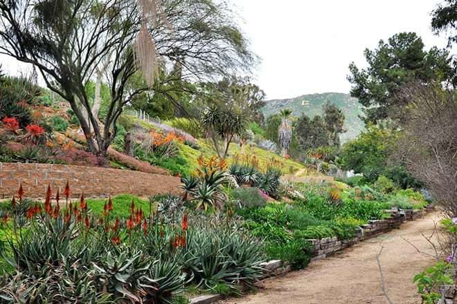 university of california riverside botanic gardens
