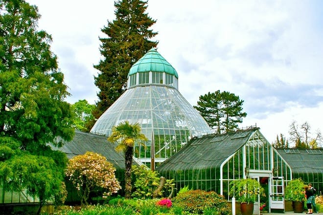 ww seymour botanical conservatory